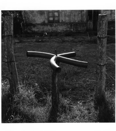 Thorsten Wiegand, Ecological Modeling